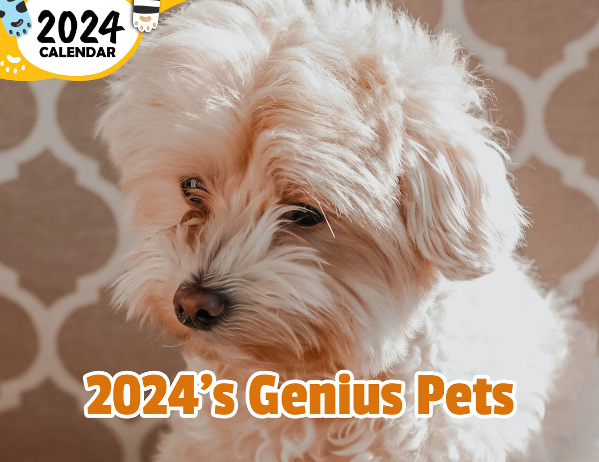 2024's Genius Pets: 2024 Wall Calendar (Published) – Praise My Pet!