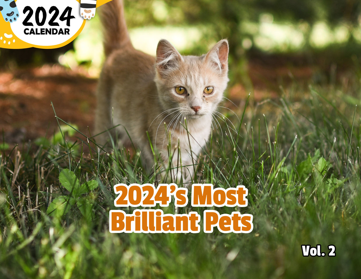 2024's Most Brilliant Pets Volume Two: 2024 Wall Calendar (Published) – Praise My Pet!