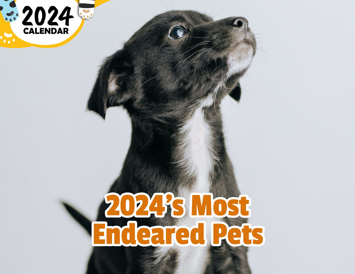 2024's Most Endeared Pets: 2024 Wall Calendar (Published) – Praise My Pet!