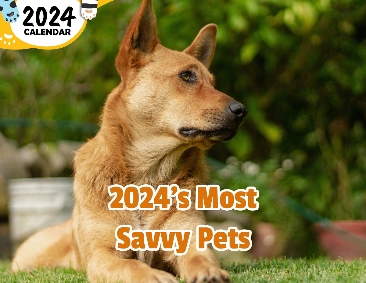 2024's Most Savvy Pets: 2024 Wall Calendar (Published) – Praise My Pet!