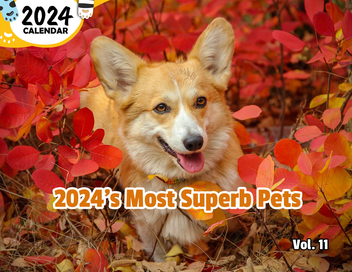 2024's Most Superb Pets Volume Eleven: 2024 Wall Calendar (Published) – Praise My Pet!
