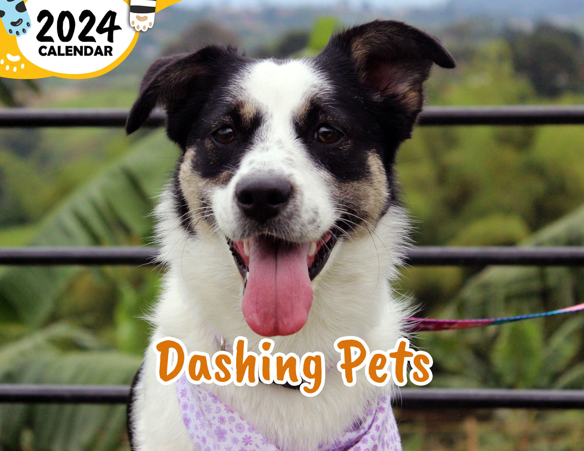 Dashing Pets: 2024 Wall Calendar (Published) – Praise My Pet!