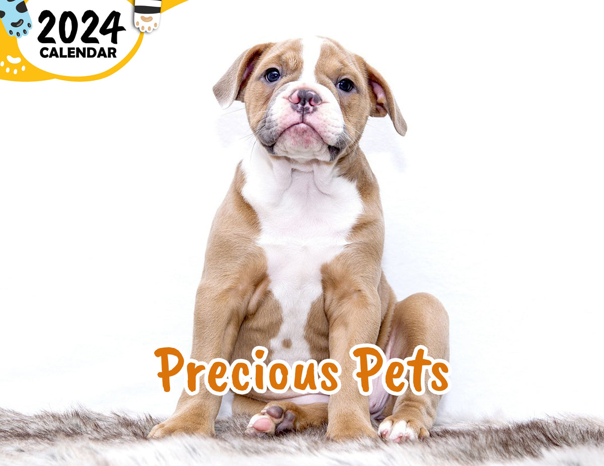 Precious Pets: 2024 Wall Calendar (Published) – Praise My Pet!