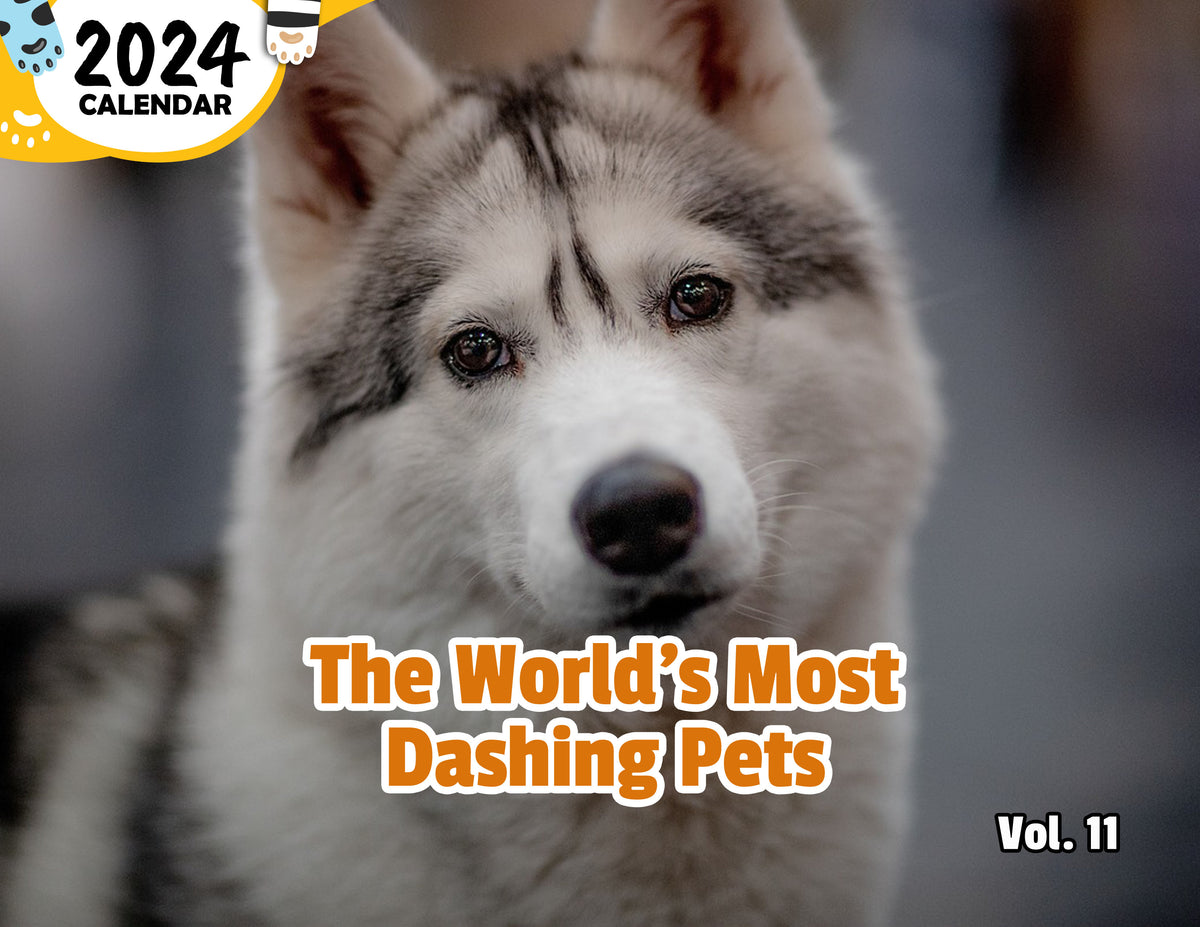 The World's Most Dashing Pets Volume Eleven: 2024 Wall Calendar (Pre-O – Praise My Pet!