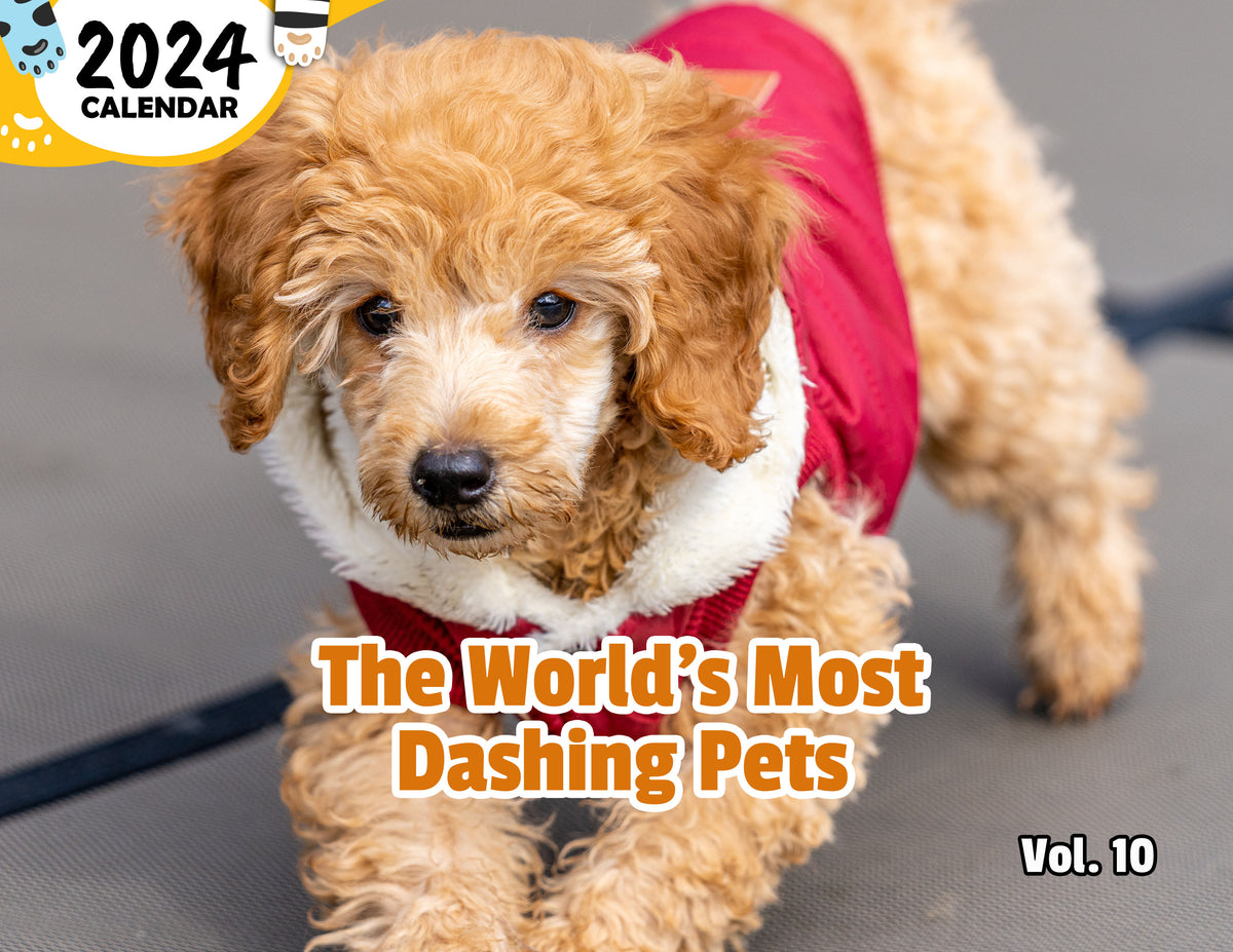 The World's Most Dashing Pets Volume Ten: 2024 Wall Calendar (Publishe – Praise My Pet!