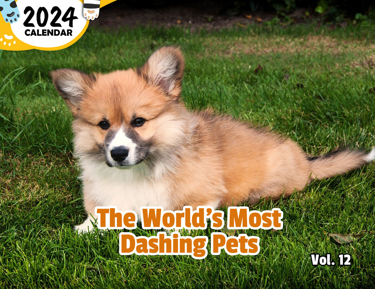 The World's Most Dashing Pets Volume Twelve: 2024 Wall Calendar (Publi – Praise My Pet!