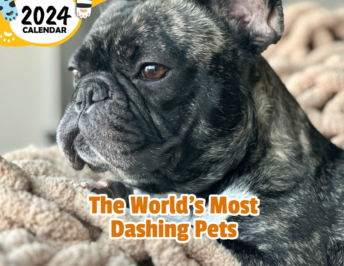 The World's Most Dashing Pets: 2024 Wall Calendar (Published) – Praise My Pet!