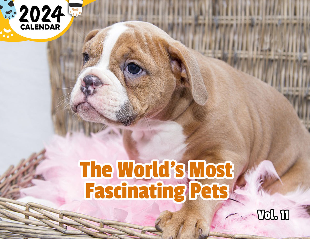 Fascinating My Smart Pet Pictures