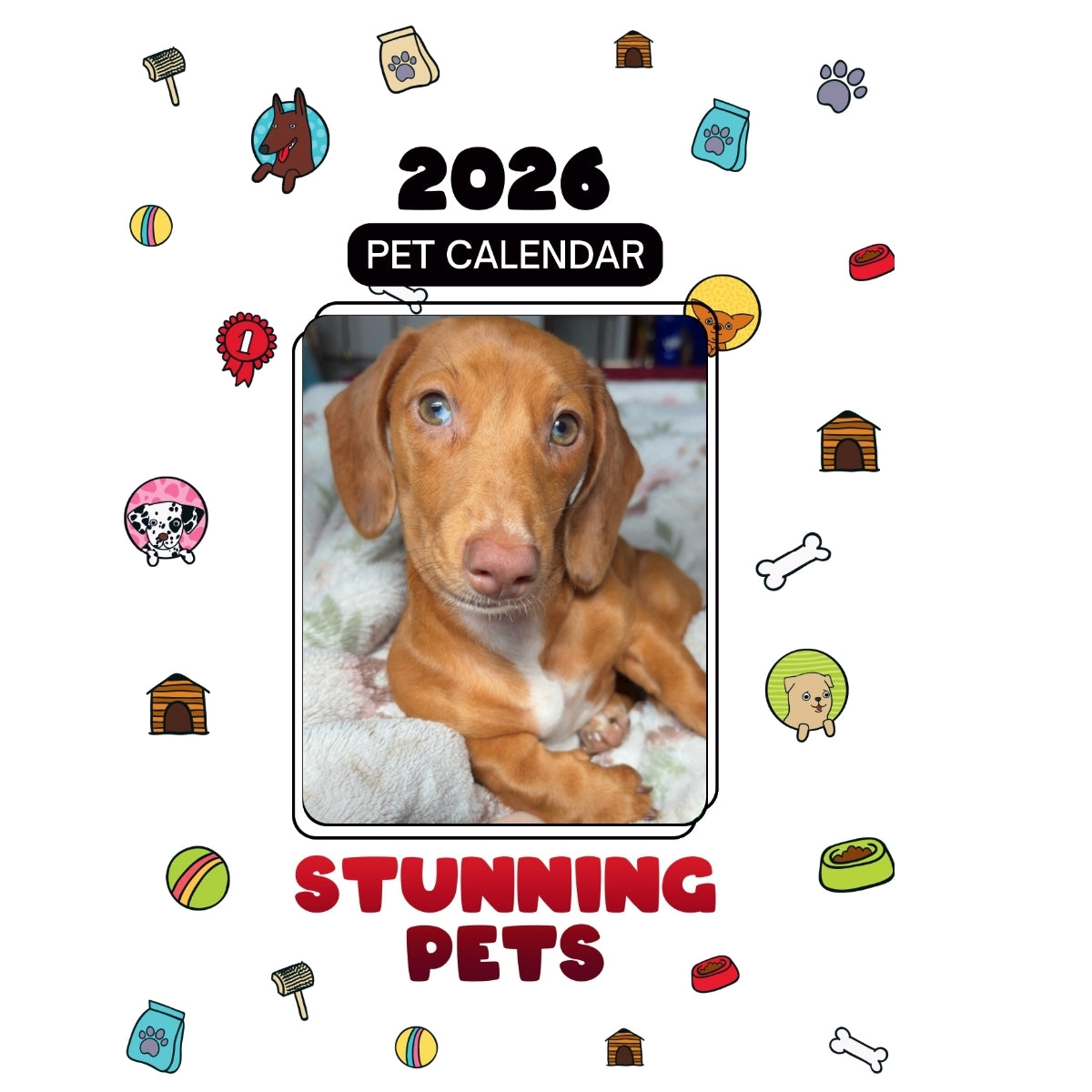Eetswa Stars in Stunning Pets: A 2026 Pet Calendar – Praise My Pet!