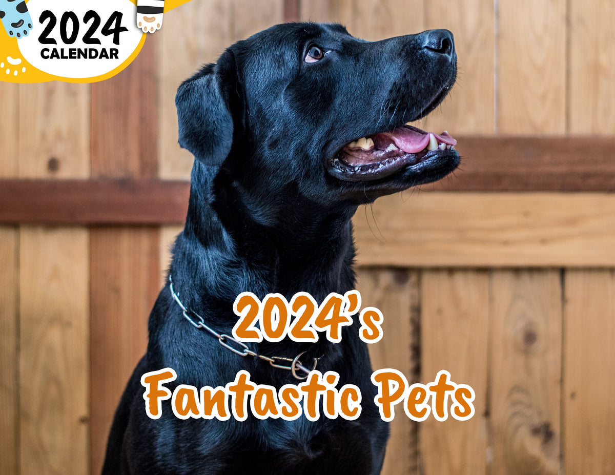 2024's Fantastic Pets: 2024 Wall Calendar (Published) – Praise My Pet!