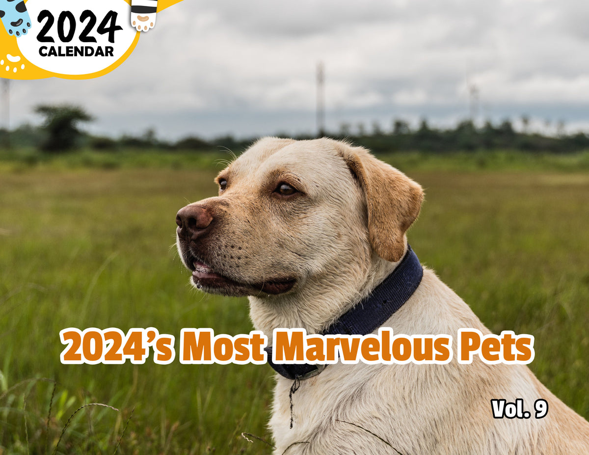 2024's Most Marvelous Pets Volume Nine: 2024 Wall Calendar (Published ...