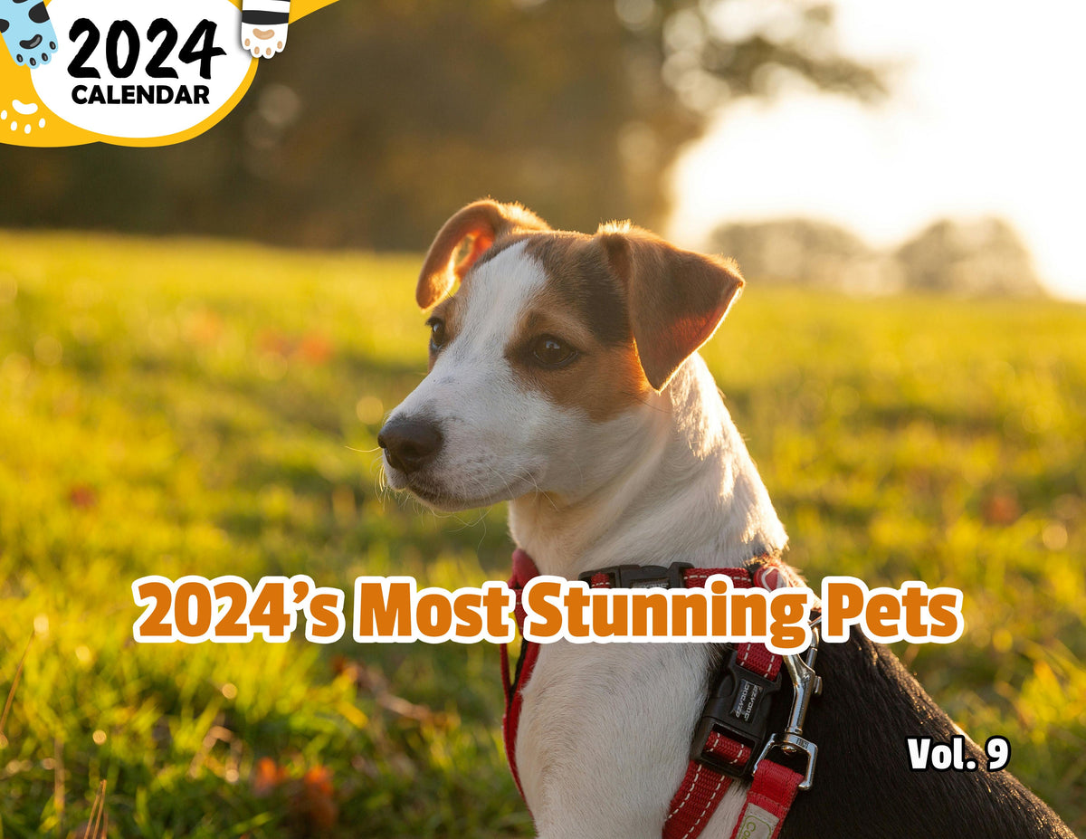 2024's Most Stunning Pets Volume Nine: 2024 Wall Calendar (Published ...