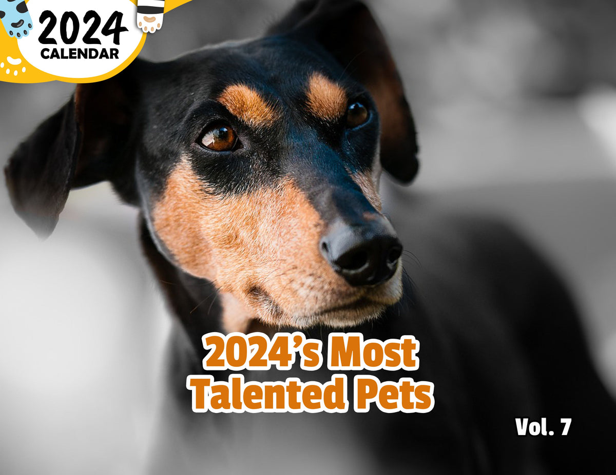 2024's Most Talented Pets Volume Seven: 2024 Wall Calendar (Published ...