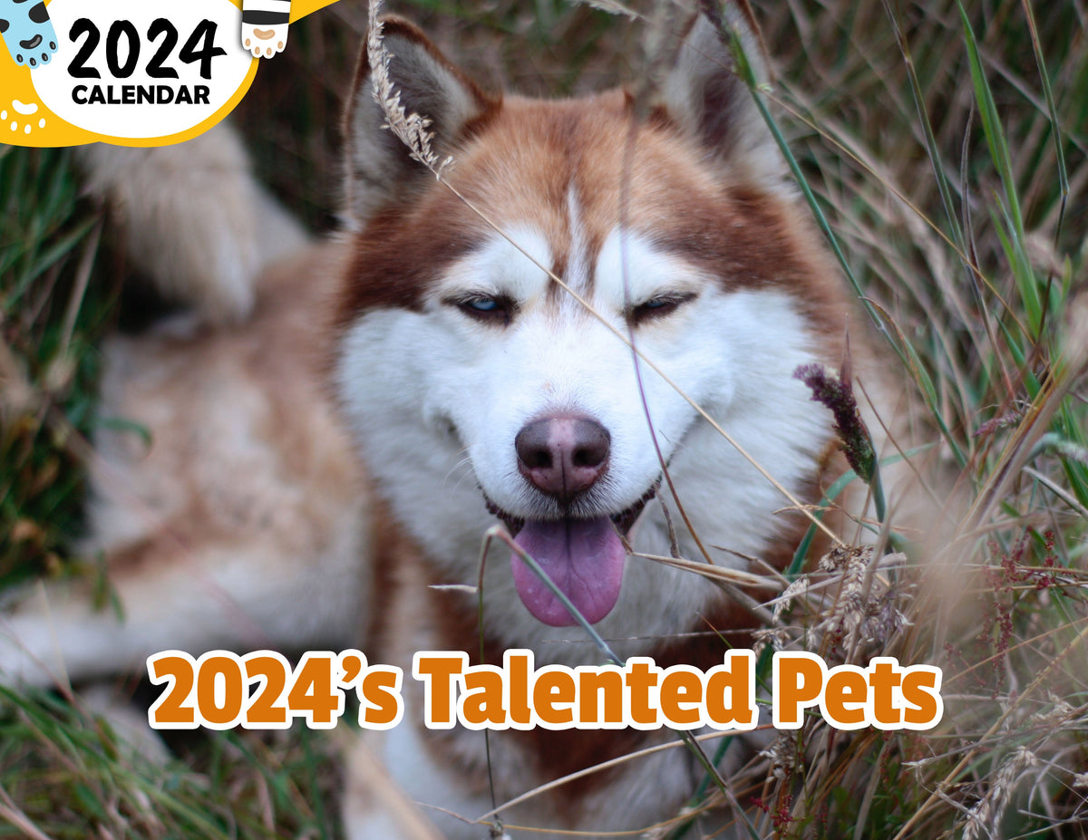 2024's Talented Pets: 2024 Wall Calendar (Published) – Praise My Pet!