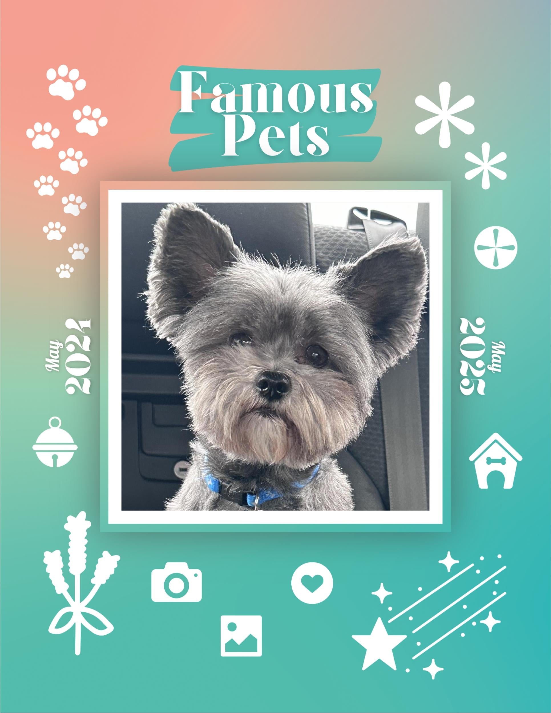 Famous Pets: May 2024-May 2025 Wall Calendar (Pre-Order) – Praise My Pet!