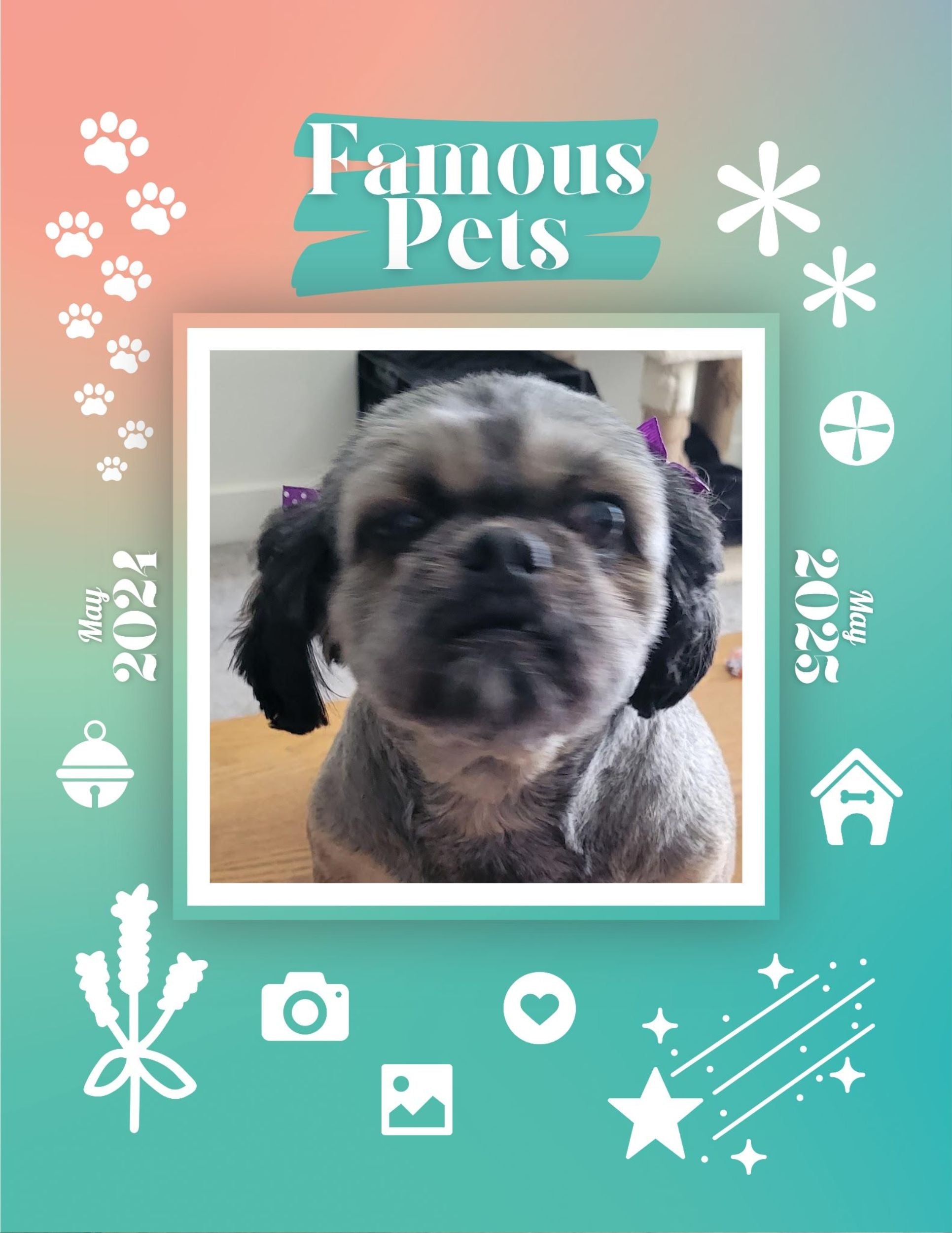 Famous Pets: May 2024-May 2025 Wall Calendar (Pre-Order) – Praise My Pet!