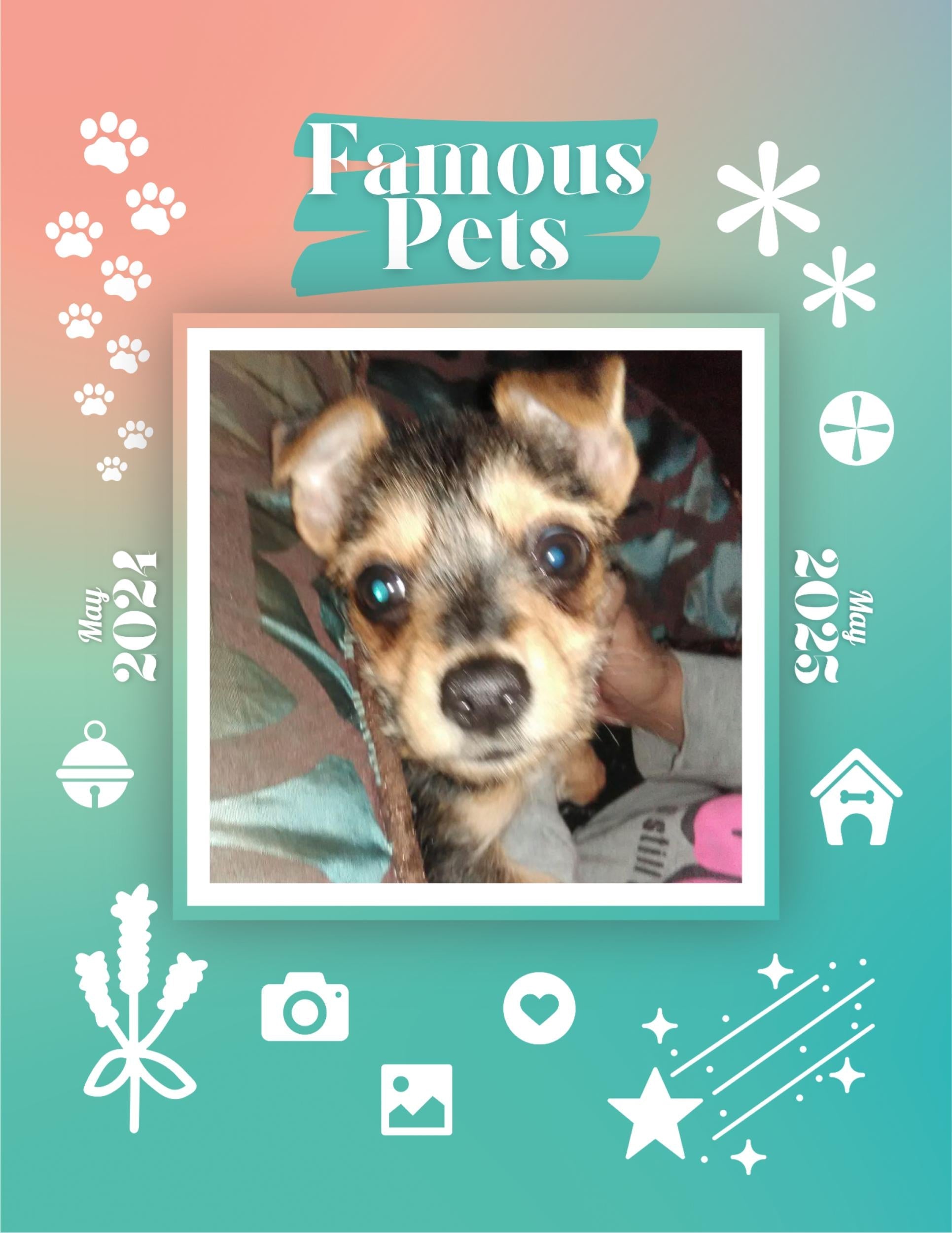 Famous Pets: May 2024-May 2025 Wall Calendar (Pre-Order) – Praise My Pet!
