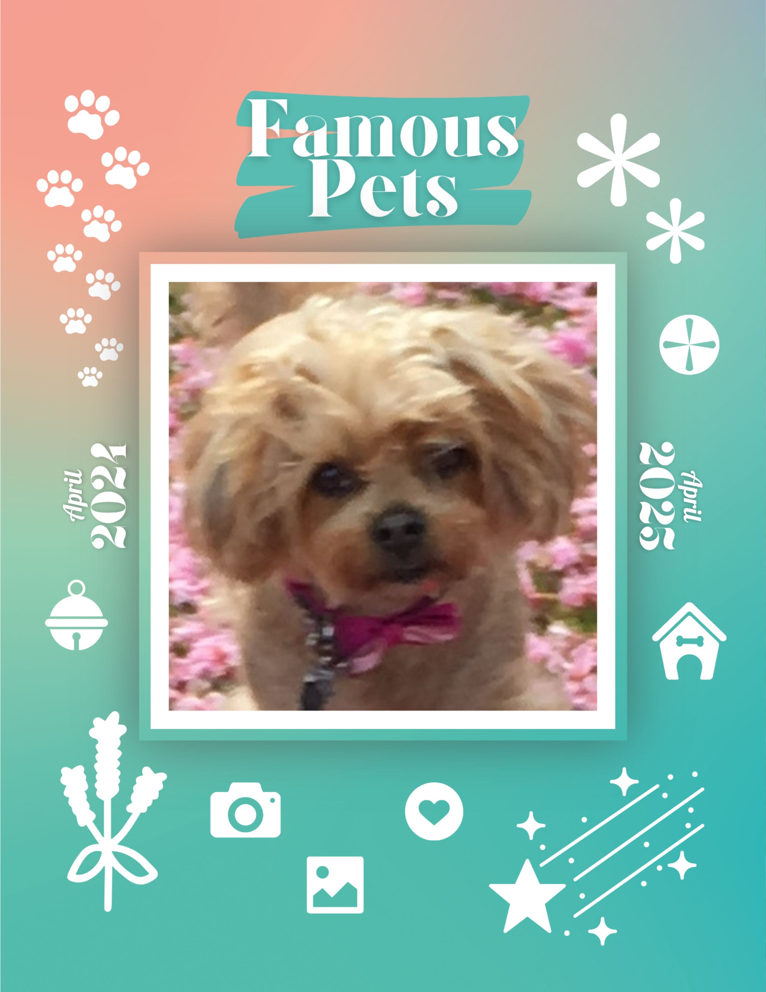 Famous Pets: April 2024-April 2025 Wall Calendar (Pre-Order) – Praise ...