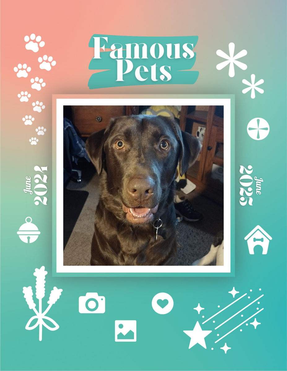 Famous Pets: June 2024-June 2025 Wall Calendar (Pre-Order) – Praise My Pet!