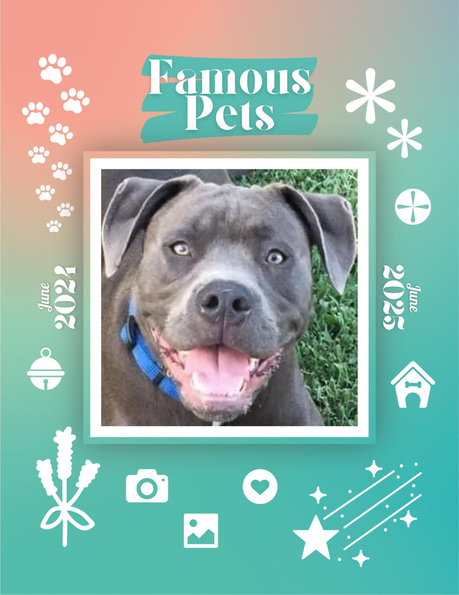 Famous Pets: June 2024-June 2025 Wall Calendar (Pre-Order) – Praise My Pet!