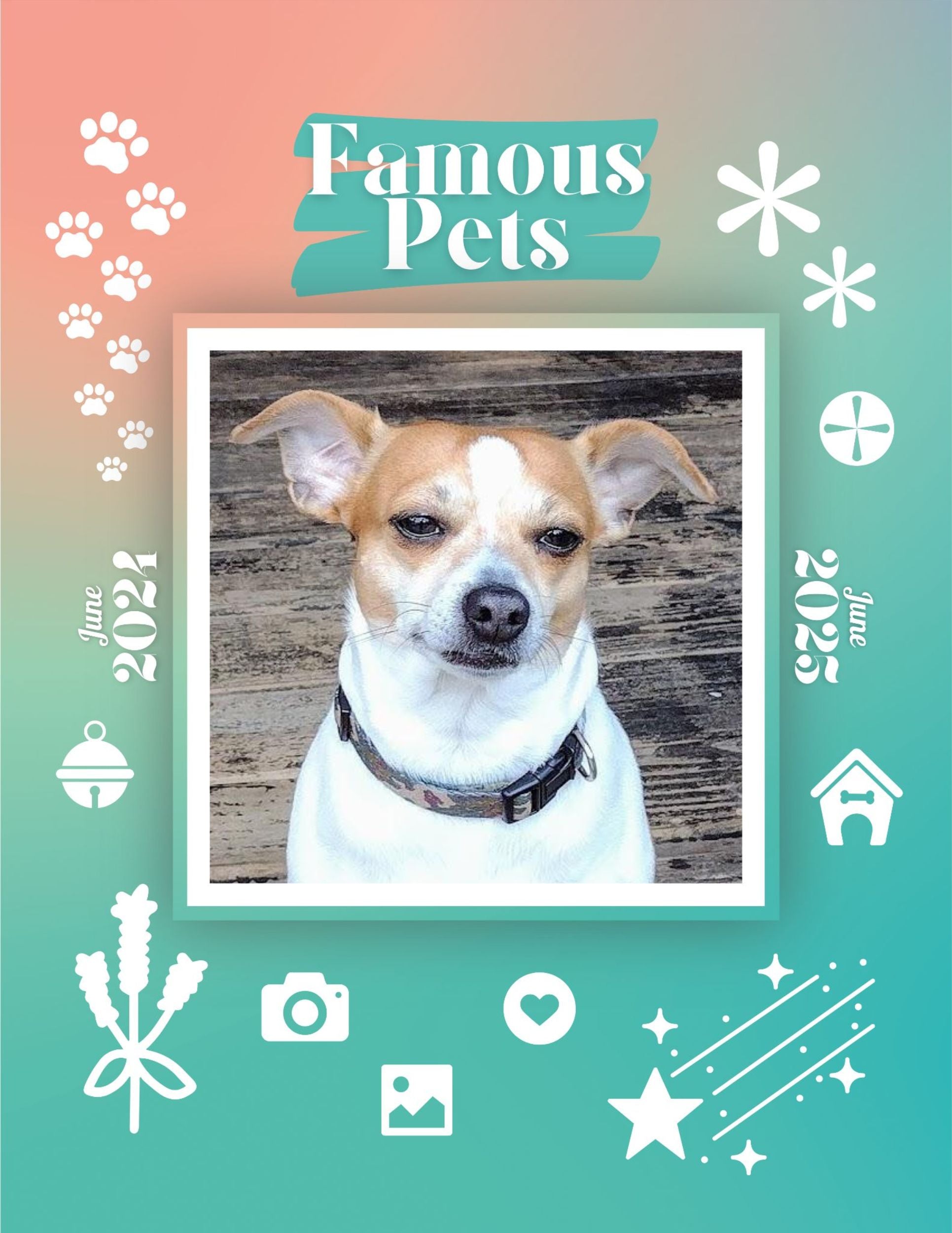 Famous Pets: June 2024-June 2025 Wall Calendar (Pre-Order) – Praise My Pet!