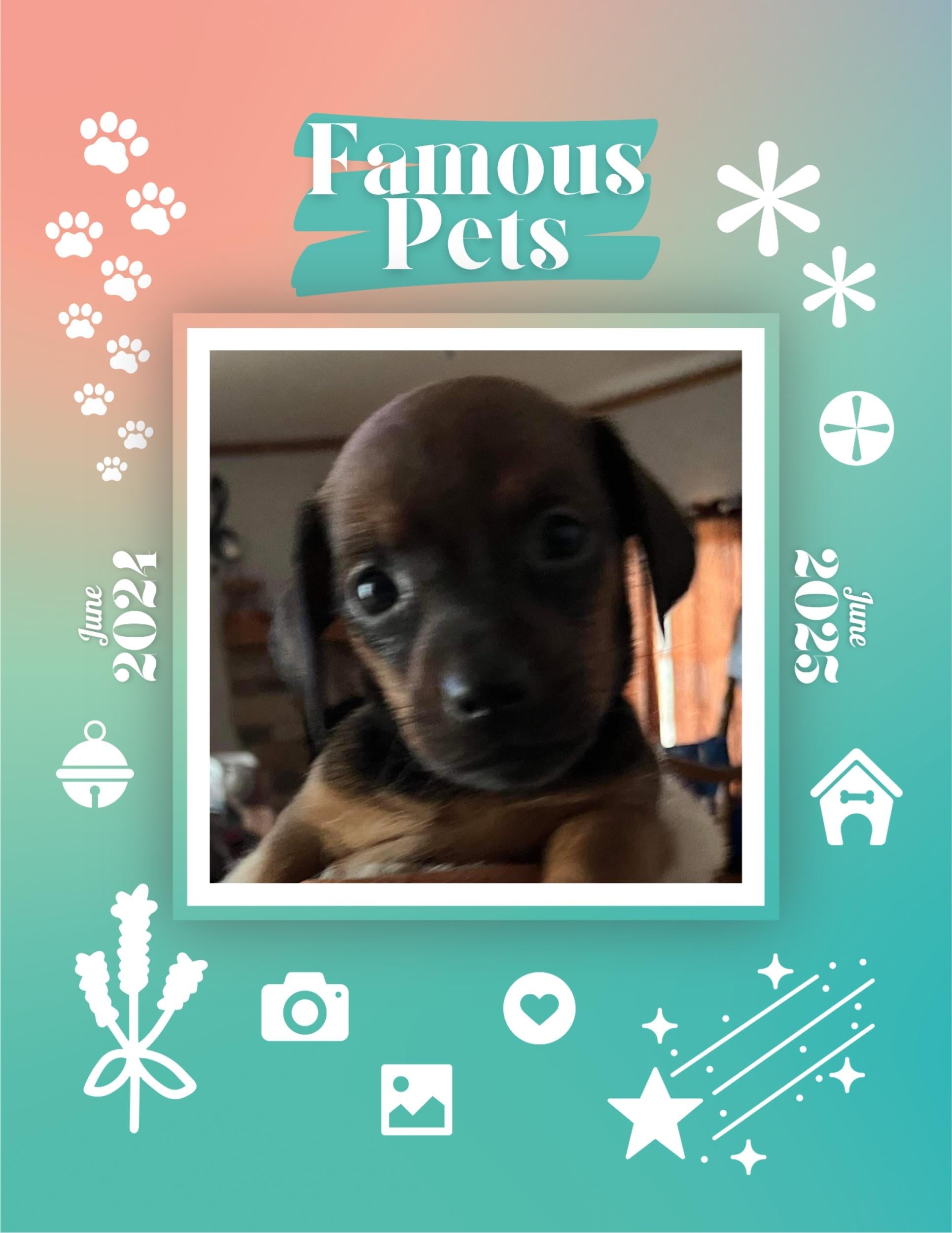 Famous Pets: June 2024-June 2025 Wall Calendar (Pre-Order) – Praise My Pet!