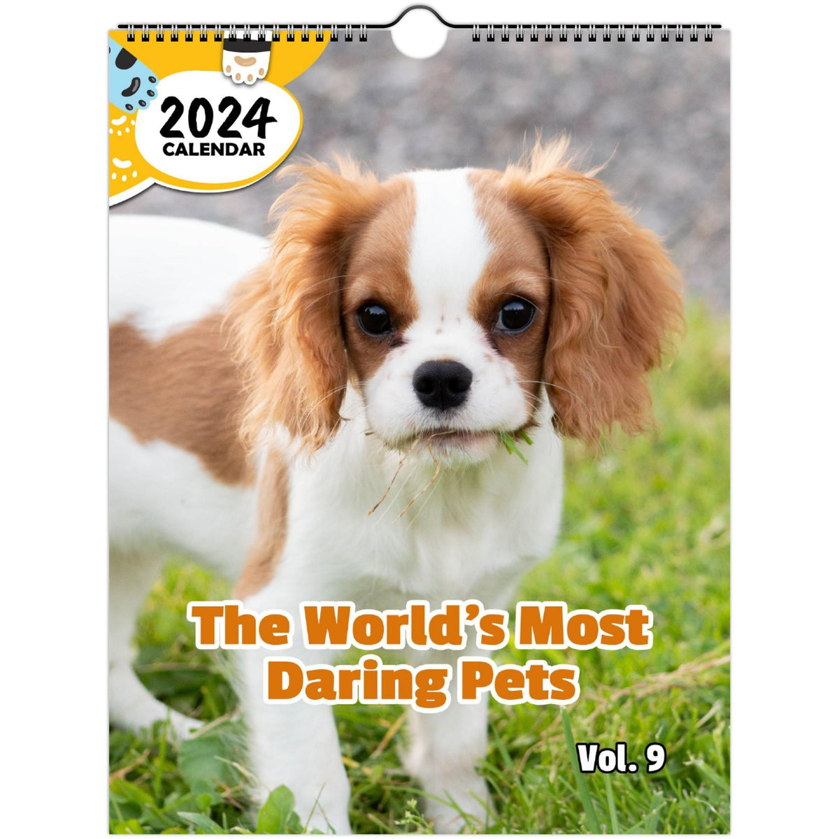 The World's Most Daring Pets Volume Nine: 2024 Wall Calendar (Pre-Orde ...
