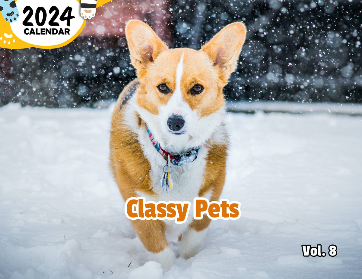 Classy Pets Volume Eight: 2024 Wall Calendar (Published) – Praise My Pet!