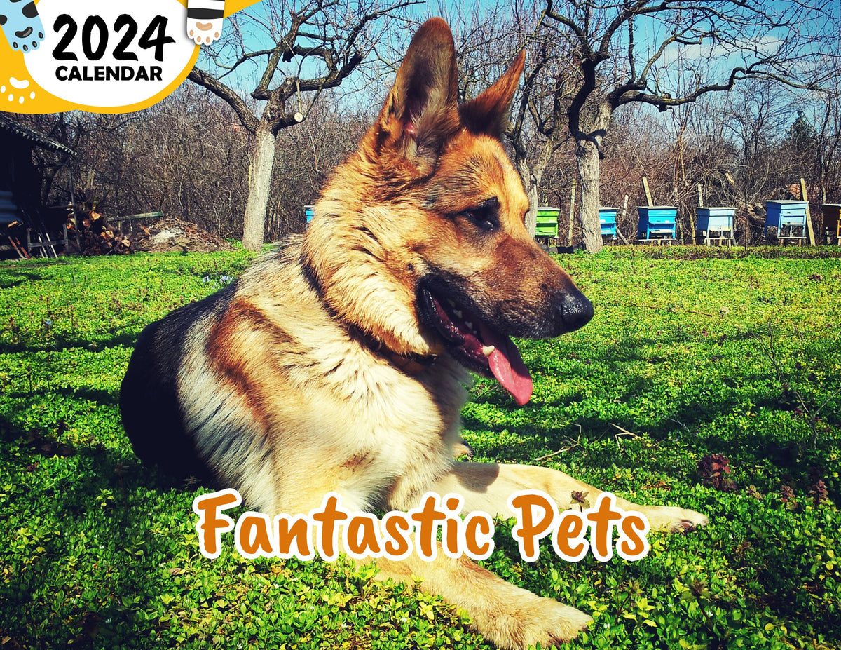 Fantastic Pets: 2024 Wall Calendar (Published) – Praise My Pet!
