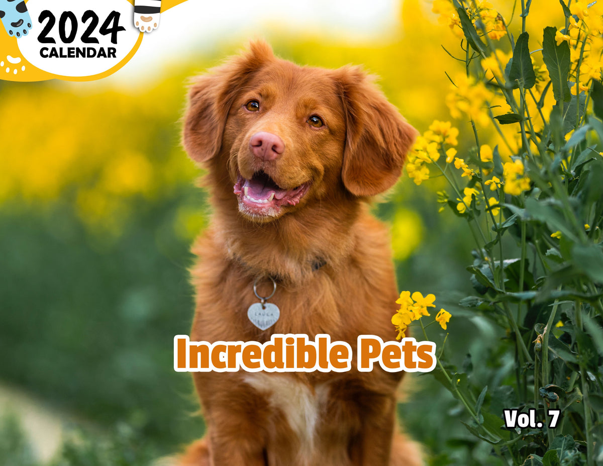 Incredible Pets Volume Seven: 2024 Wall Calendar (Published) – Praise ...