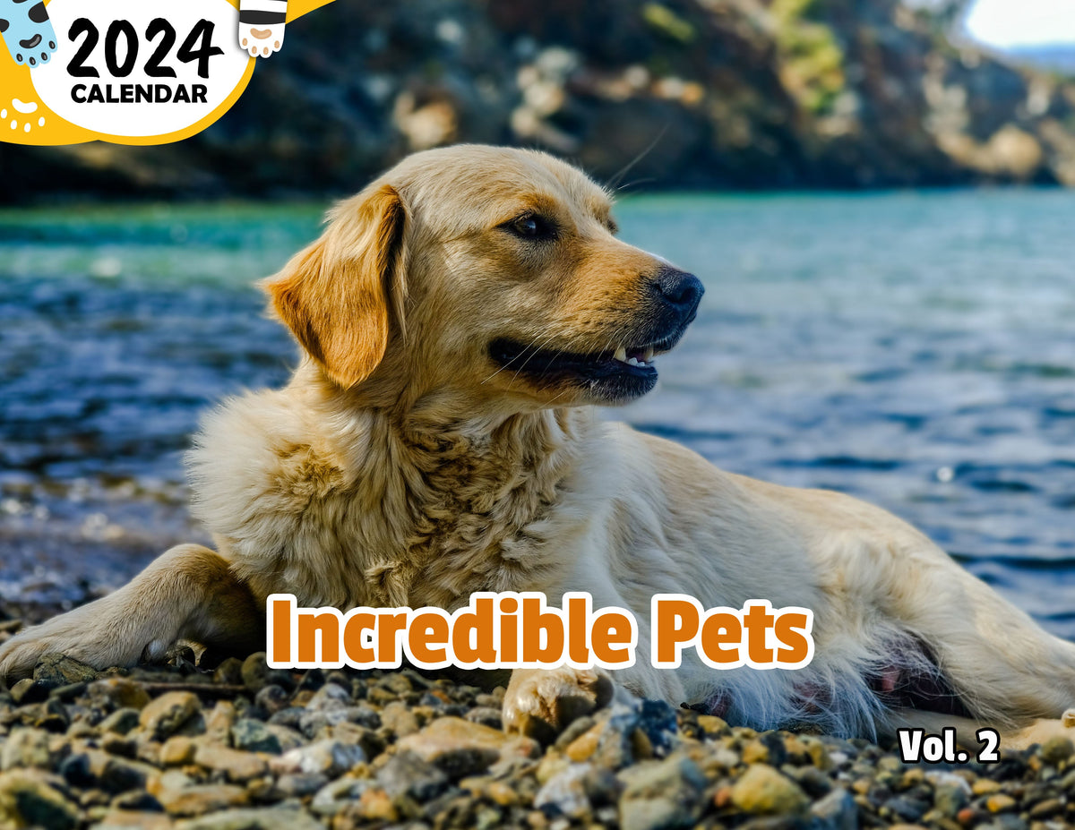 Incredible Pets Volume Two: 2024 Wall Calendar (Published) – Praise My Pet!