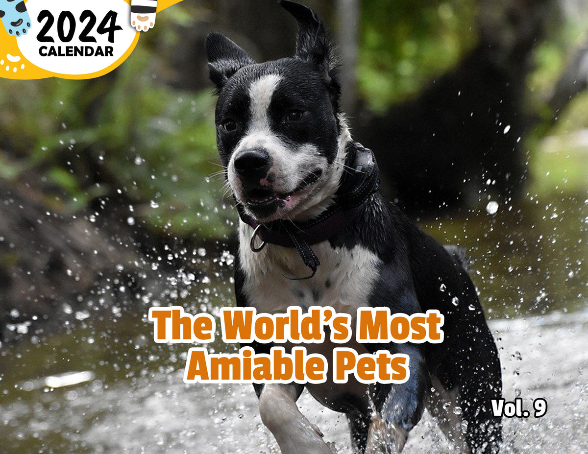 The World's Most Amiable Pets Volume Nine: 2024 Wall Calendar (Publish ...