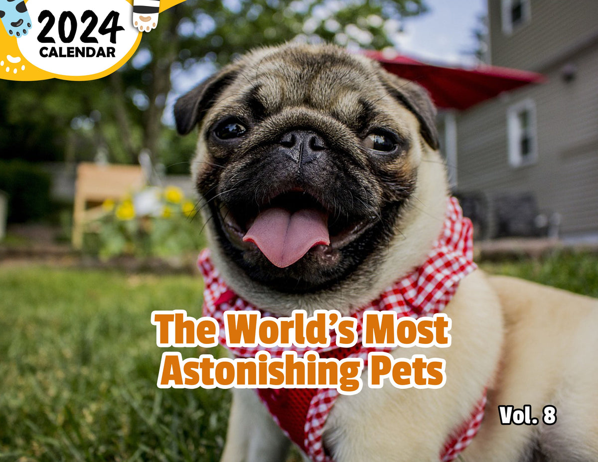 The World's Most Astonishing Pets Volume Eight: 2024 Wall Calendar (Pu ...