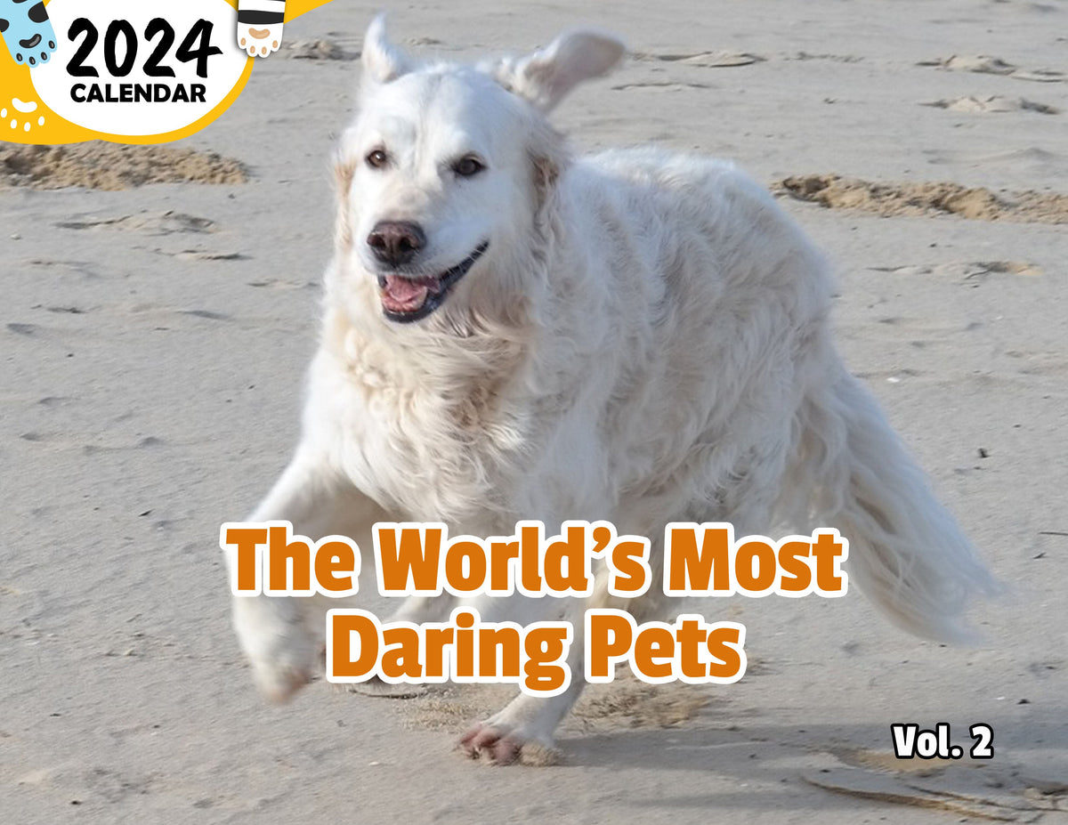 The World's Most Daring Pets Volume Two: 2024 Wall Calendar (Published ...