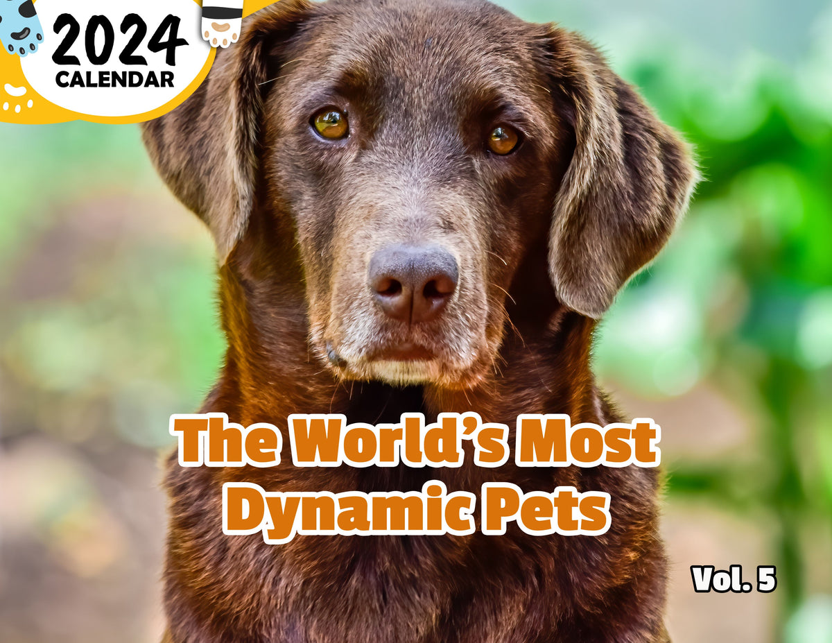 The World's Most Dynamic Pets Volume Five: 2024 Wall Calendar (Publish ...
