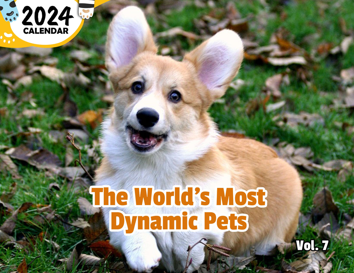 The World's Most Dynamic Pets Volume Seven: 2024 Wall Calendar (Publis ...