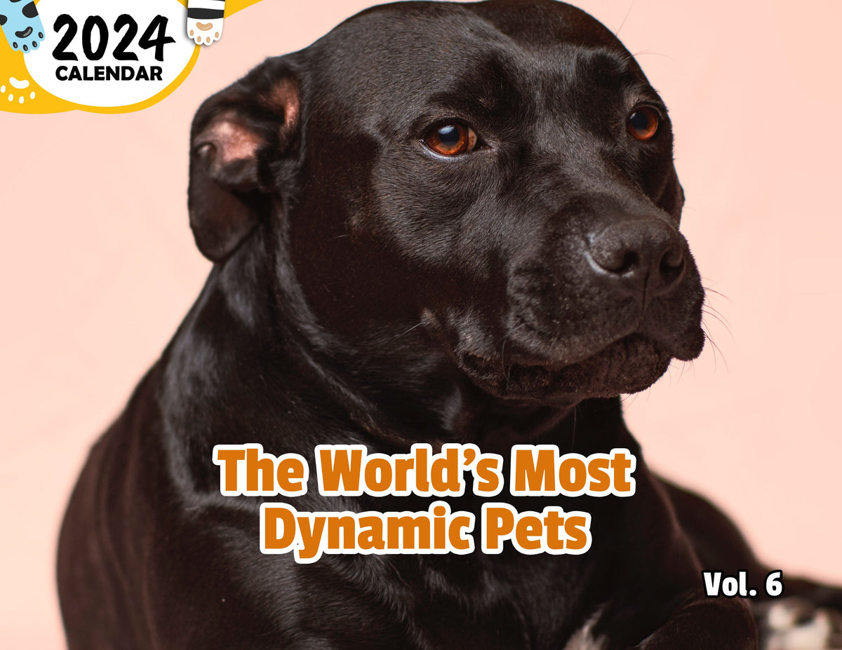 The World's Most Dynamic Pets Volume Six: 2024 Wall Calendar (Publishe ...