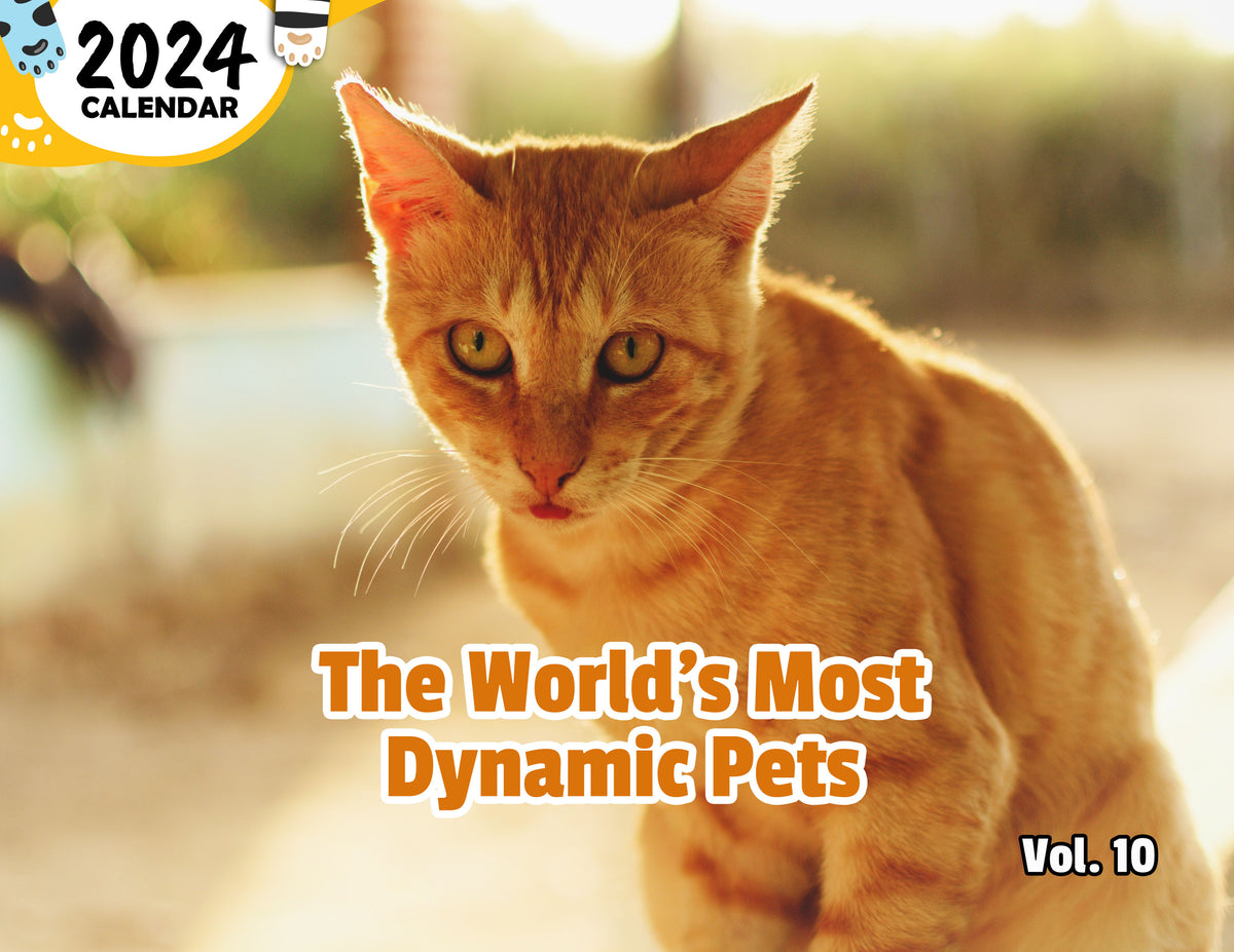 The World's Most Dynamic Pets Volume Ten: 2024 Wall Calendar (Publishe ...