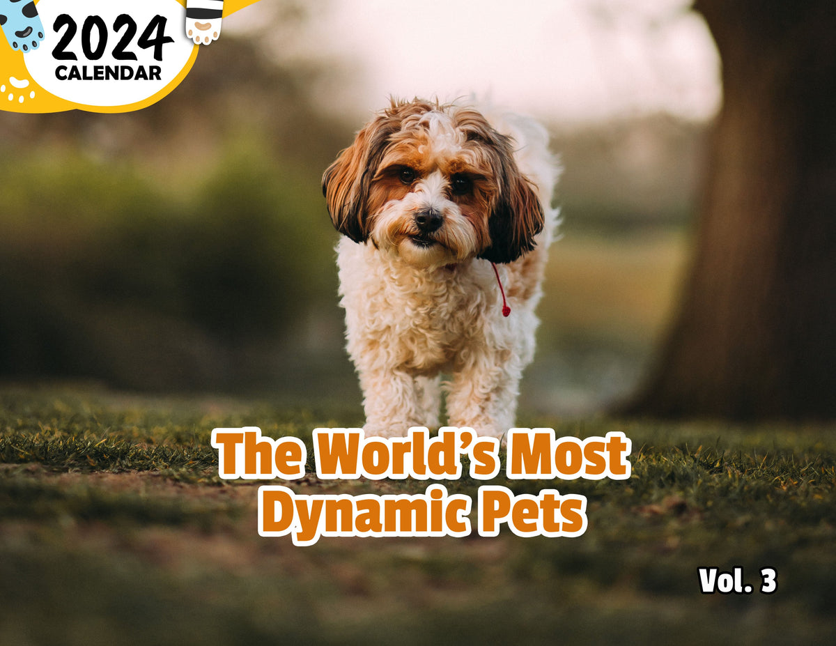 The World's Most Dynamic Pets Volume Three: 2024 Wall Calendar (Publis ...