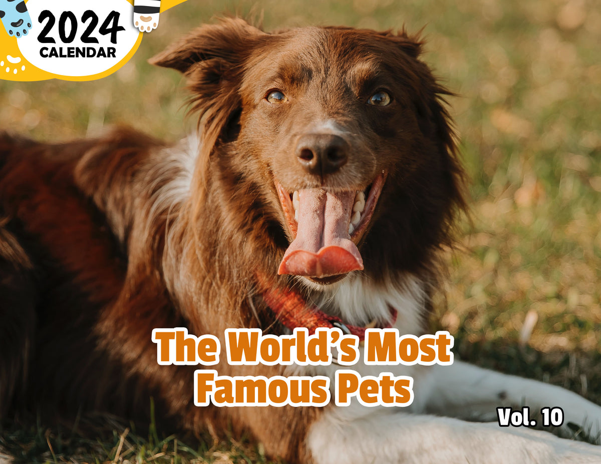 The World's Most Famous Pets Volume Ten: 2024 Wall Calendar (Published ...