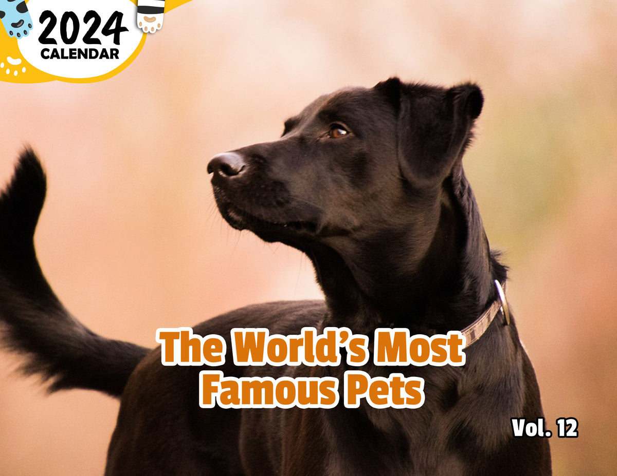 The World's Most Famous Pets Volume Twelve: 2024 Wall Calendar (Publis ...
