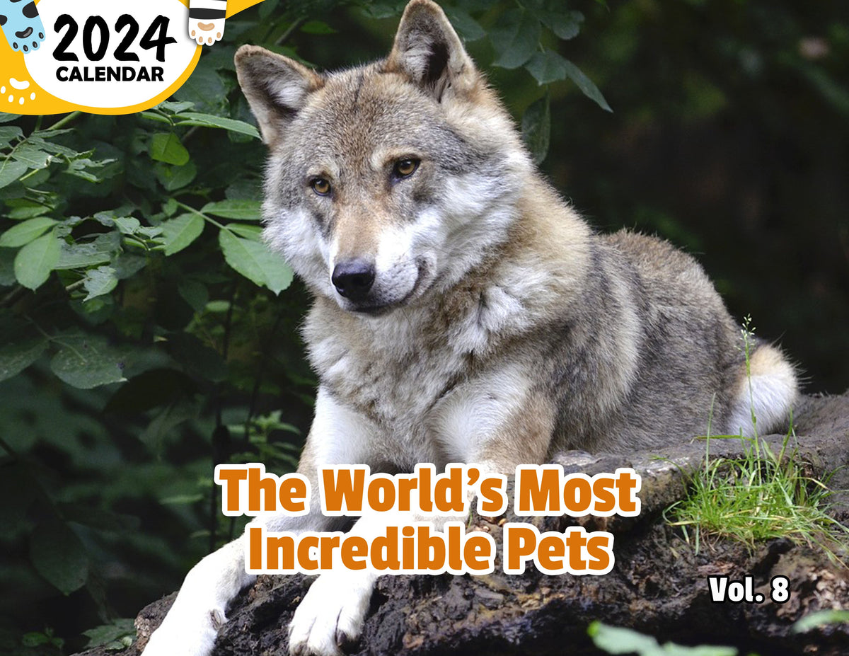 The World's Most Incredible Pets Volume Eight: 2024 Wall Calendar (Pub ...