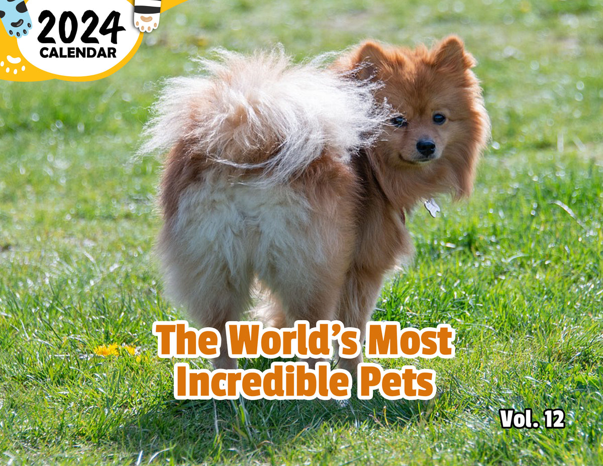 The World's Most Incredible Pets Volume Twelve: 2024 Wall Calendar (Pu ...