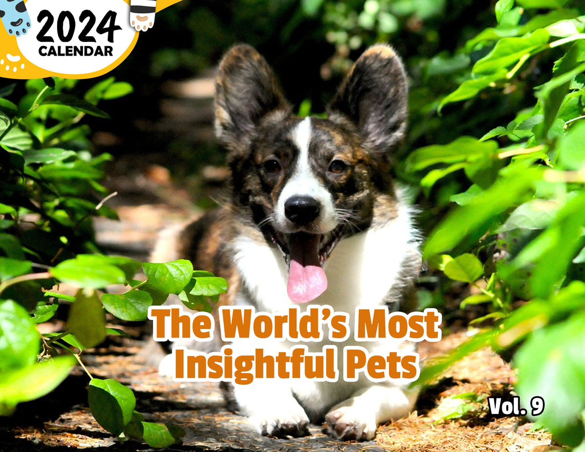 The World's Most Insightful Pets Volume Nine: 2024 Wall Calendar (Publ ...