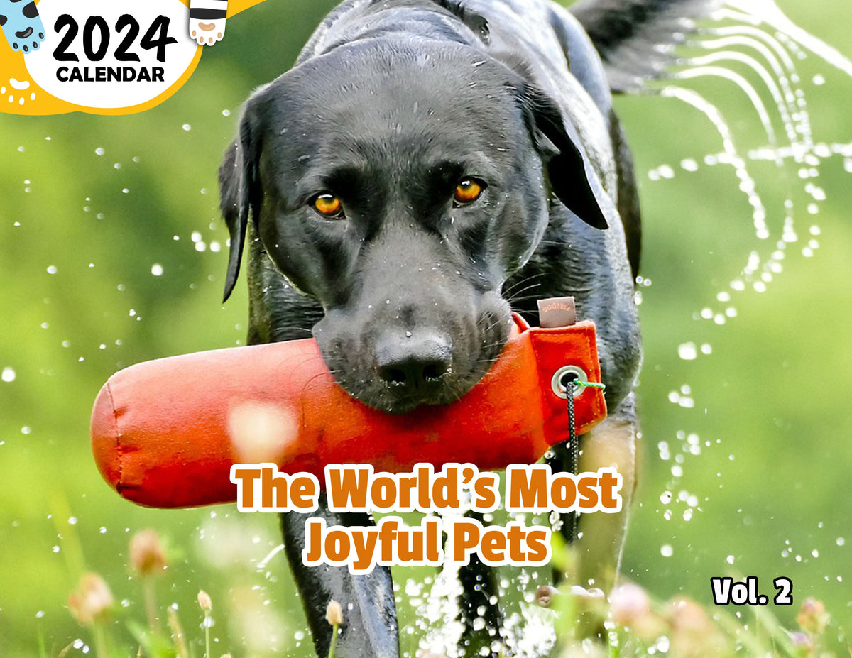 The World's Most Joyful Pets Volume Two: 2024 Wall Calendar (Published ...
