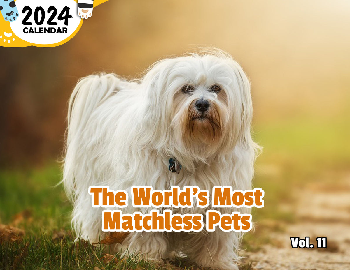 The World's Most Matchless Pets Volume Eleven: 2024 Wall Calendar (Pub ...