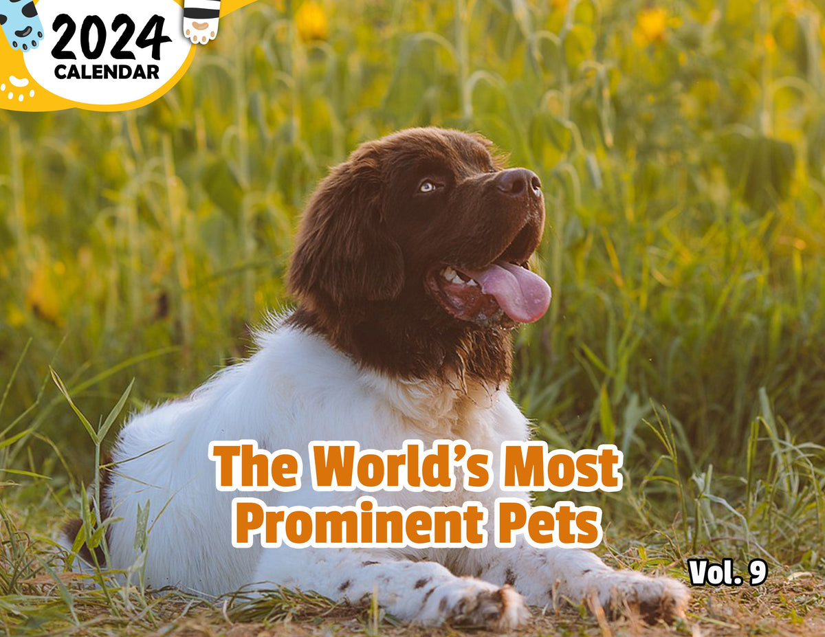 The World's Most Prominent Pets Volume Nine: 2024 Wall Calendar (Publi ...