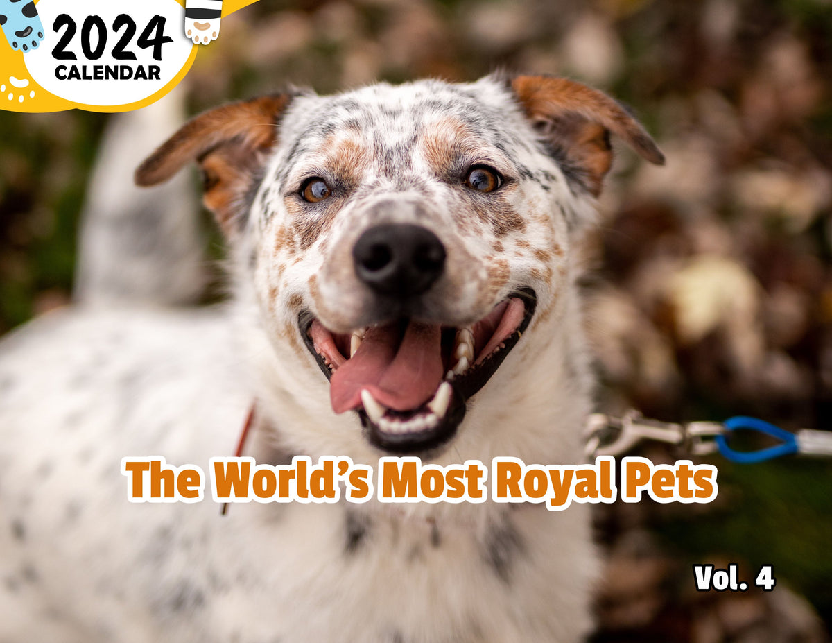 The World's Most Royal Pets Volume Four: 2024 Wall Calendar (Published ...