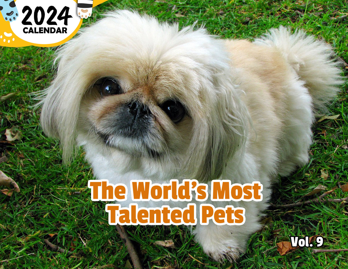 The World's Most Talented Pets Volume Nine: 2024 Wall Calendar (Publis ...