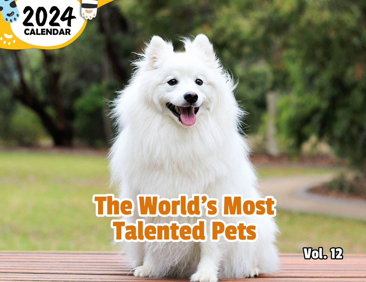 The World's Most Talented Pets Volume Twelve: 2024 Wall Calendar (Pre ...
